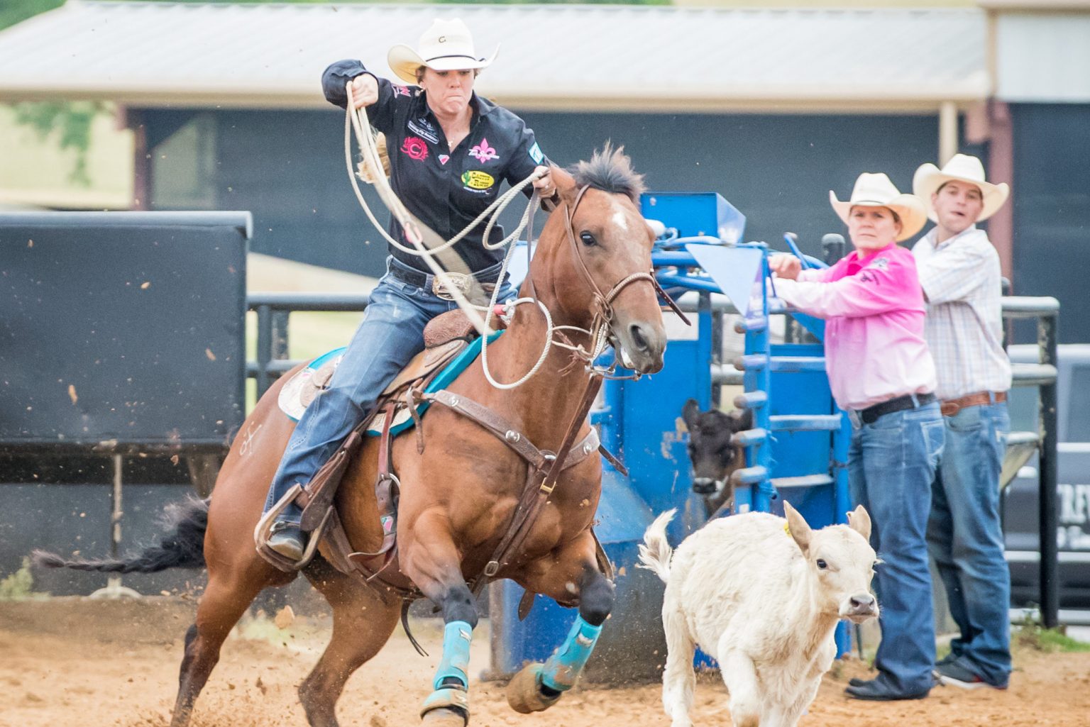 The Breakaway Roper's Target