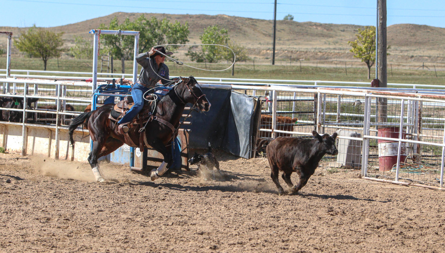 3 Key Practice Pen Tips With Linsay Sumpter - The Breakaway Roping Journal