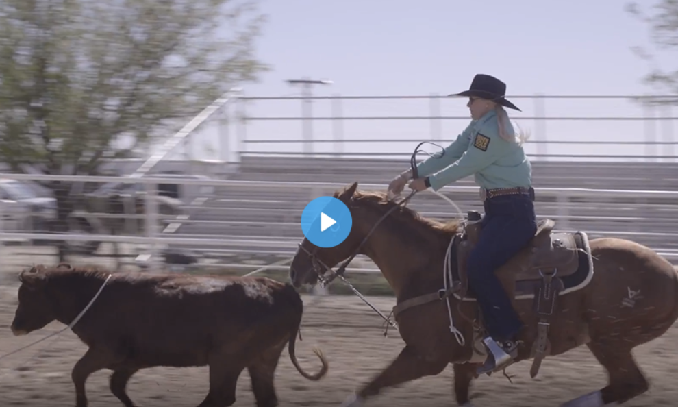 3 Key Practice Pen Tips With Linsay Sumpter - The Breakaway Roping Journal