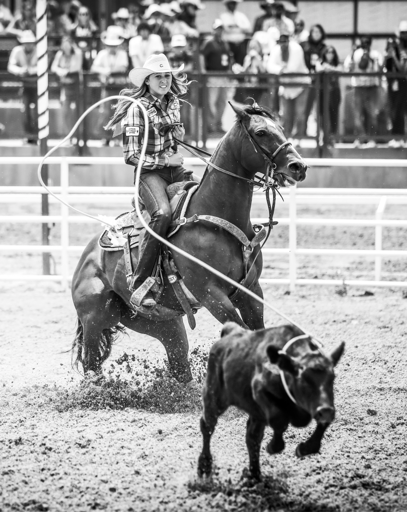 Welcome to the New BreakawayRopingJournal.com