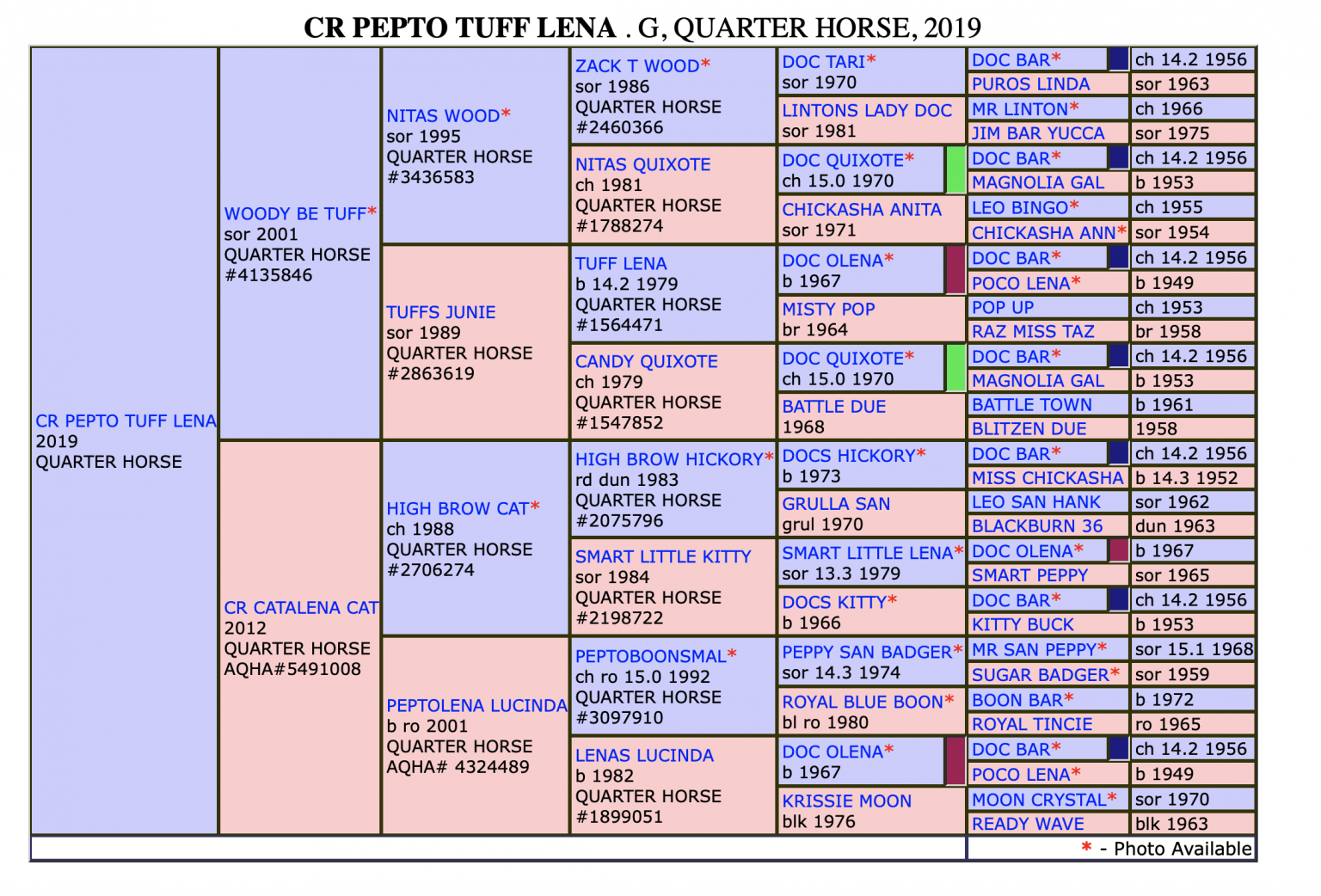 Beau Peterson Wins Royal Crown Breakaway Futurity