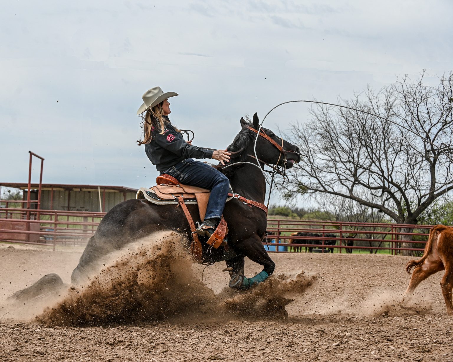 Martha Angelone - The Breakaway Roping Journal