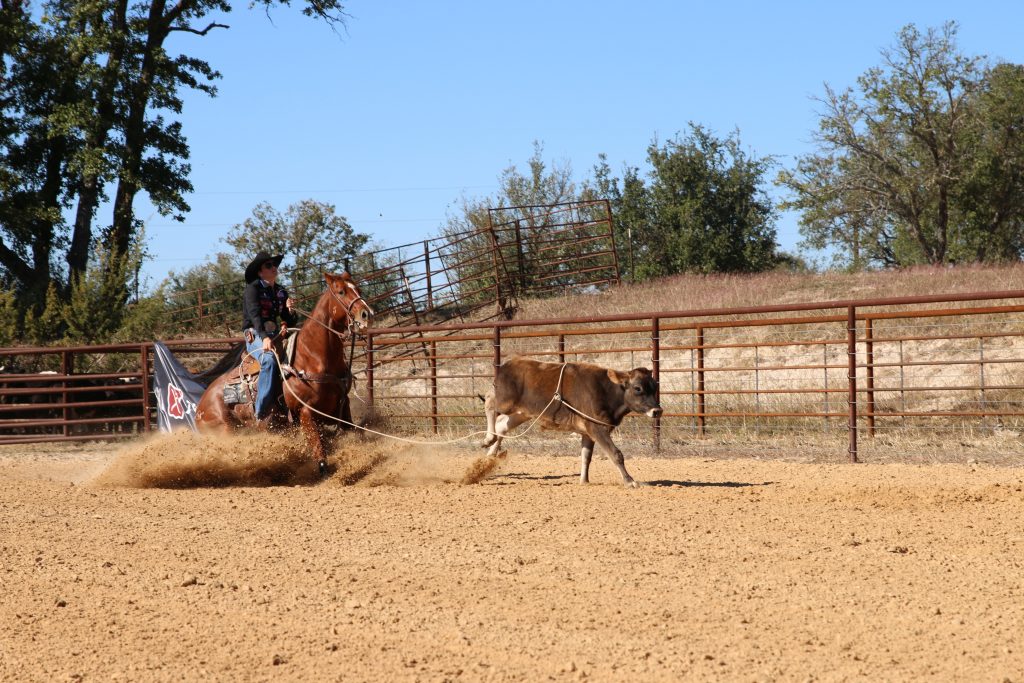 Shelby Boisjoli - The Breakaway Roping Journal