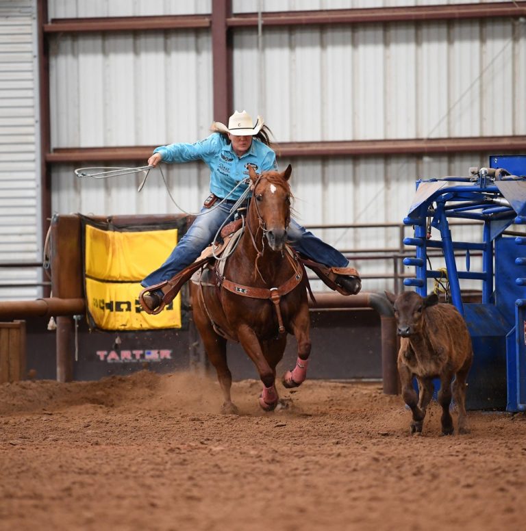 Lari Dee Guy - The Breakaway Roping Journal