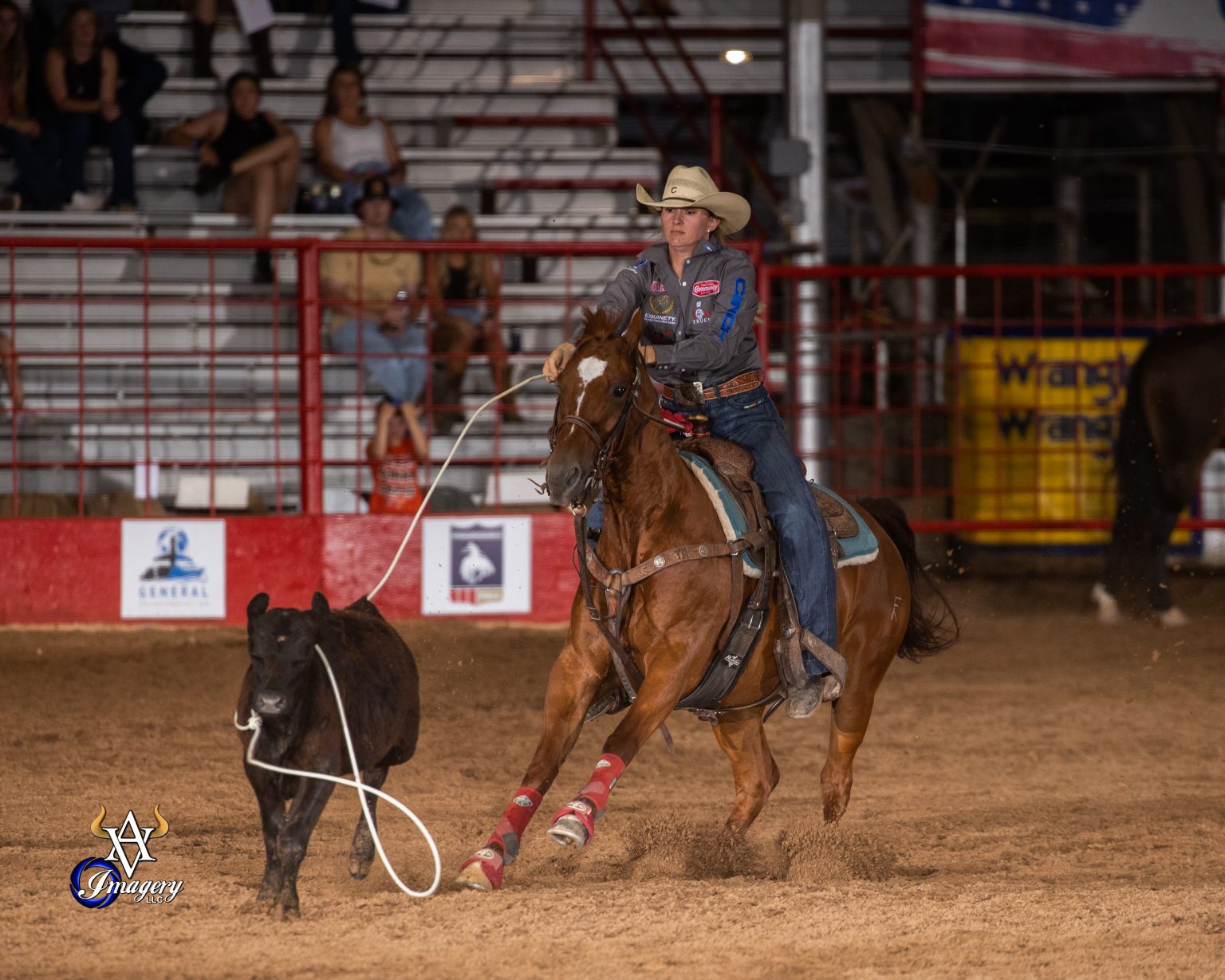 Bloodlines Behind the 2023 NFBR Breakaway Horses