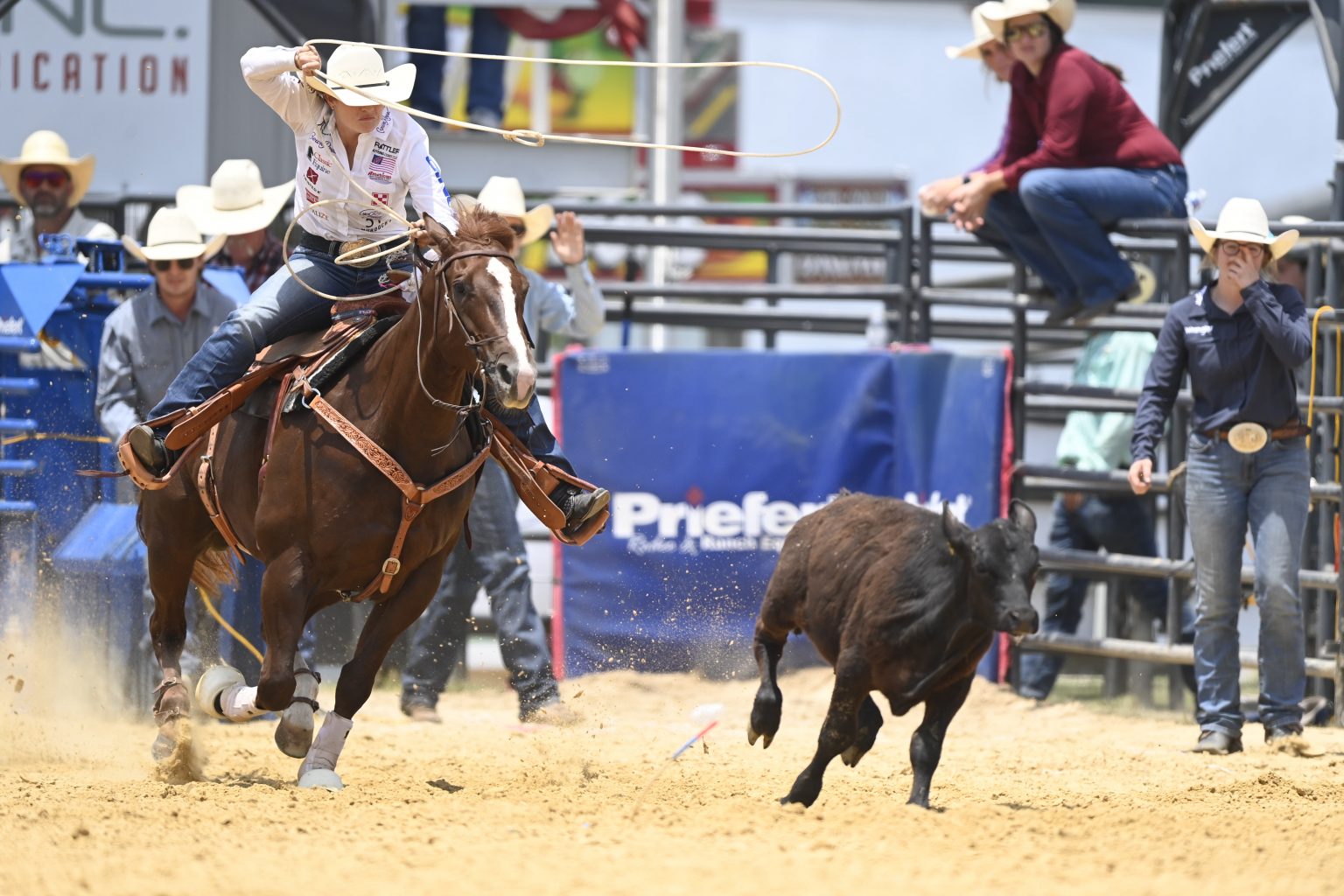 2X Horse of the Year, Shelby Boisjoli’s “Onna”