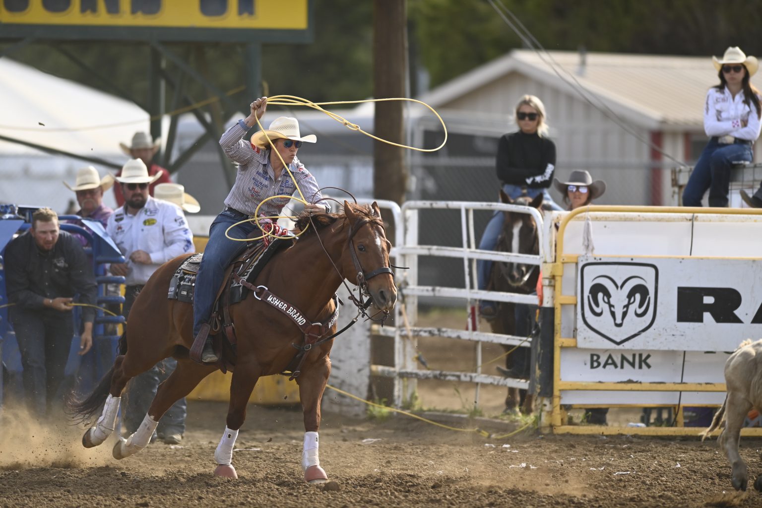 The Official Lineup of 2023 NFBR Horses