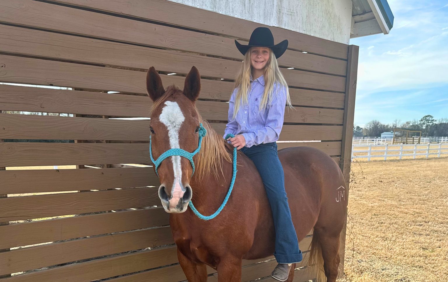 7 Reasons Pros Recommend Senior Breakaway Horses for Youth