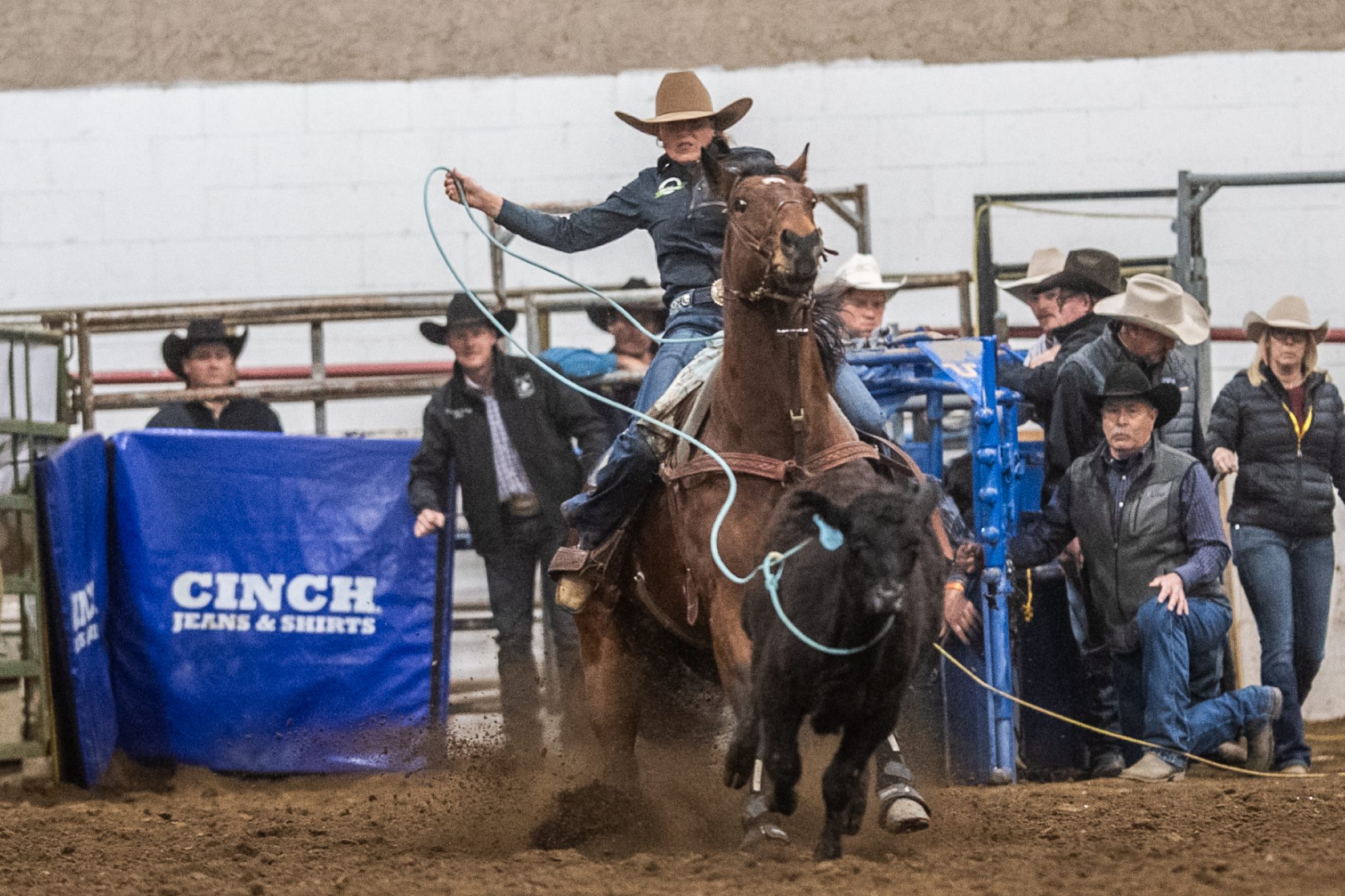 Top 15's ProRodeo Breakaway Horses of 2025