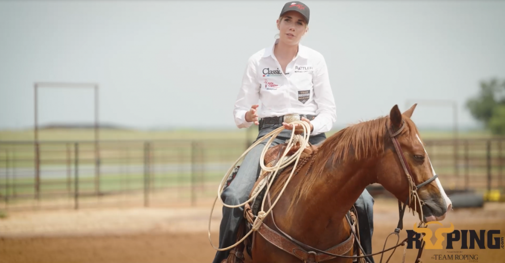 Before You Post Your Breakaway Horse for Sale