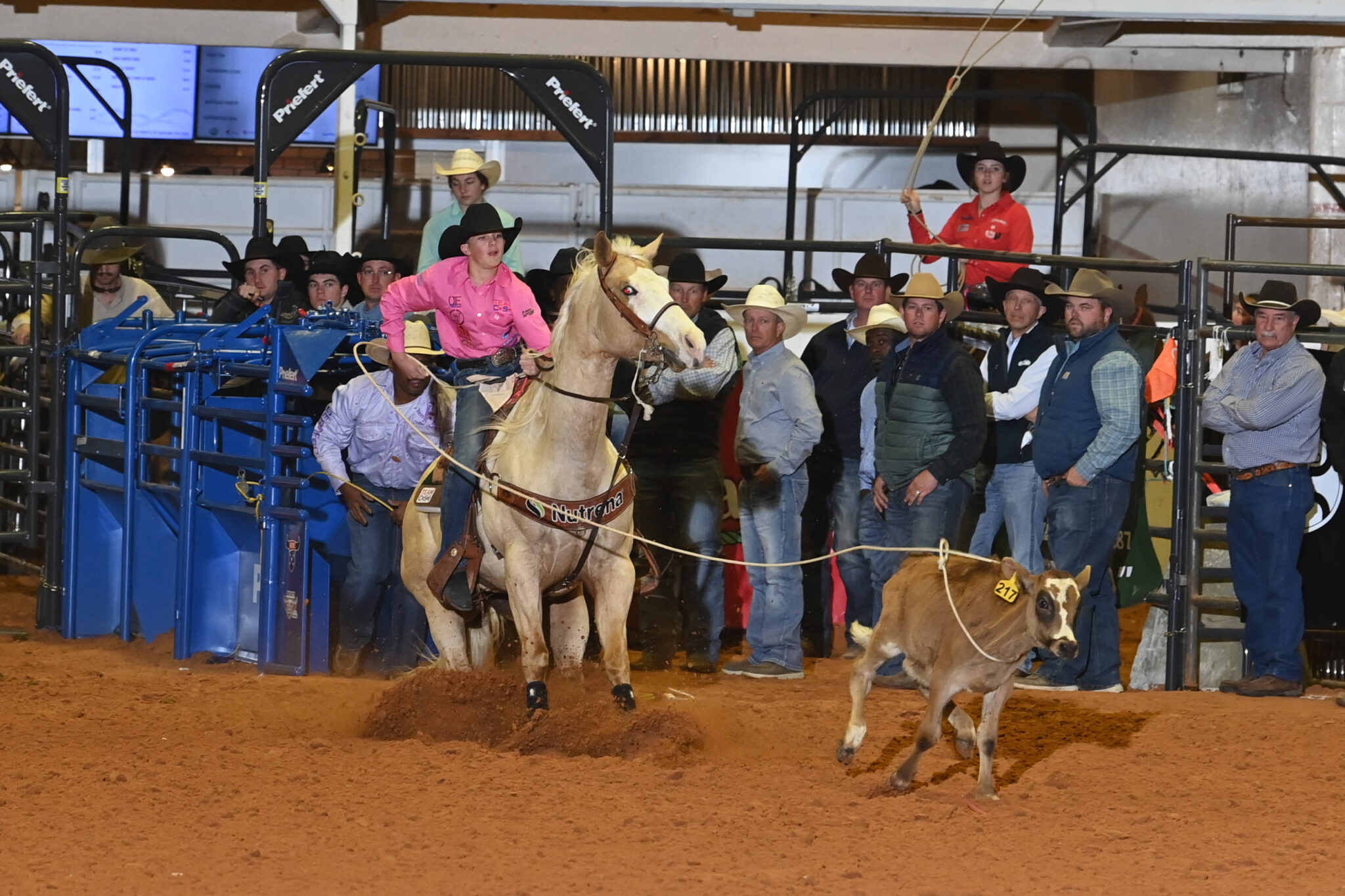 2024 Hooey Jr. Patriot Wows with Payouts: Full Breakaway Roping Results ...