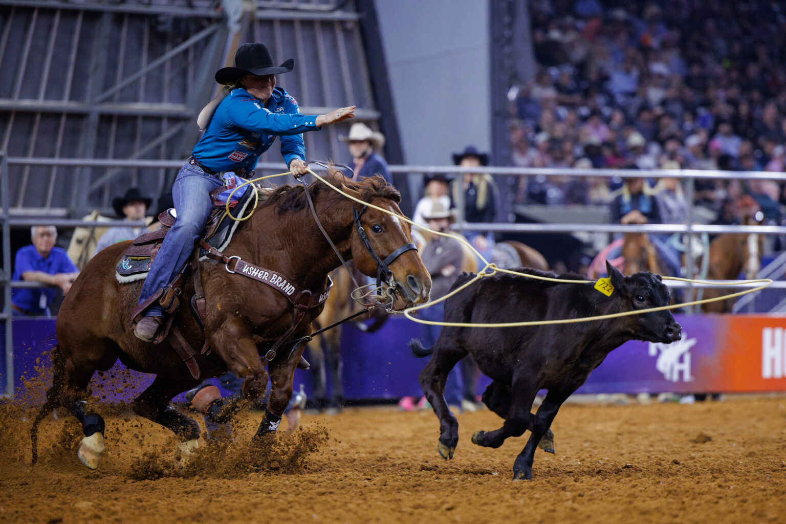 What is a Bell-Collar Catch? Primer on Breakaway Roping Rules