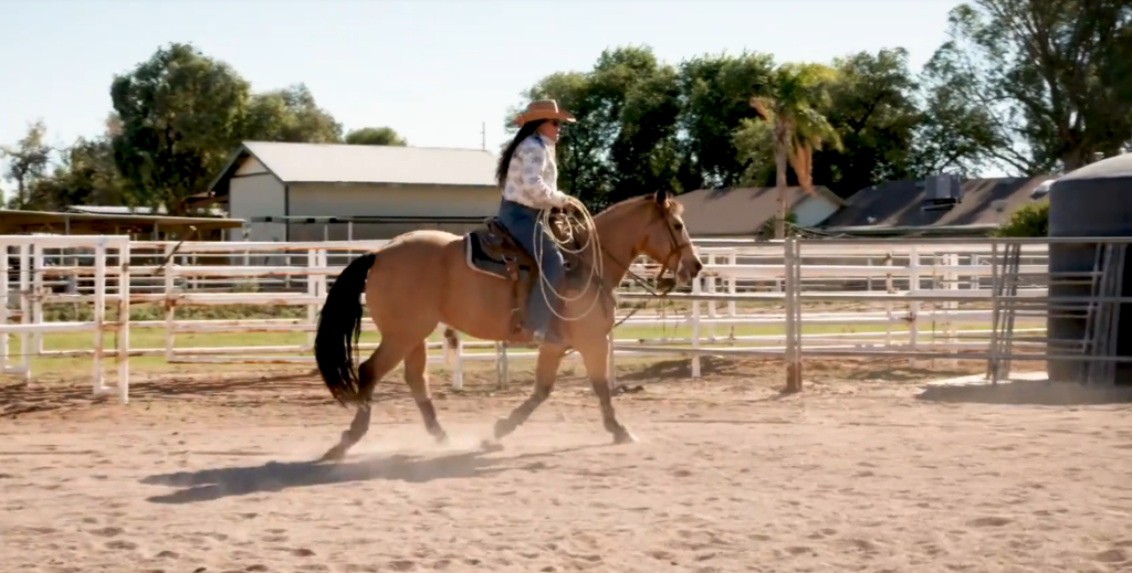 Breakaway Troubleshooting: My Horse is Too Hot in the Box