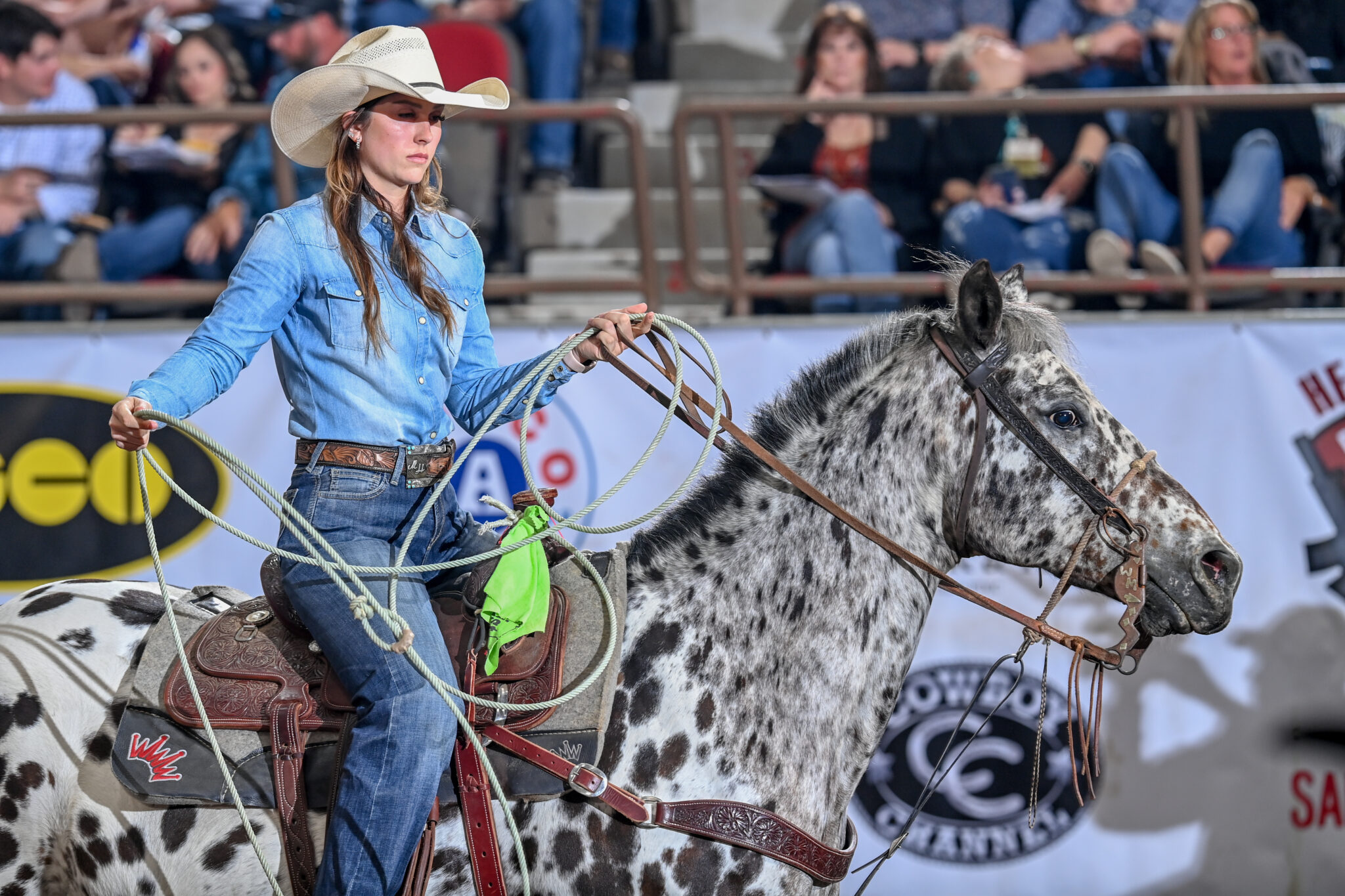 McKenna Hickson's Appaloosa Breakaway Horse "Spot"