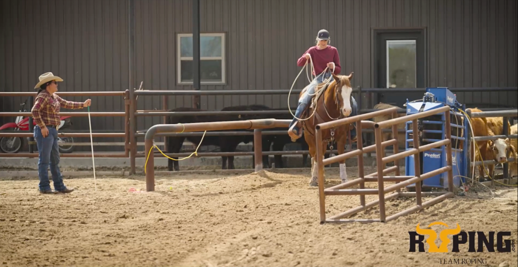 Breakaway Basics: A Horse's First Time Out of the Box - The Breakaway ...