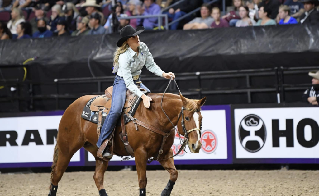 Attn Senior Breakaway Horses! Equine Network Launches MySeniorHorse.com