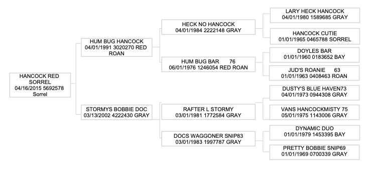 Sierra Sprat Balances TV Broadcast, Breakaway on Rookie Road