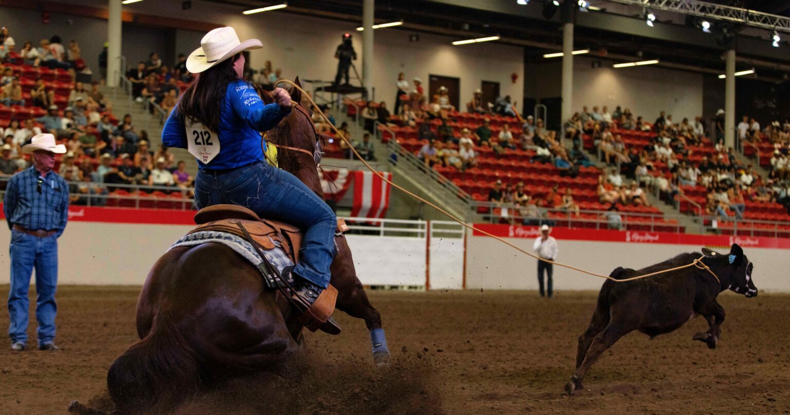 Breakaway Roping Added to Calgary Stampede 2025 - The Breakaway Roping ...