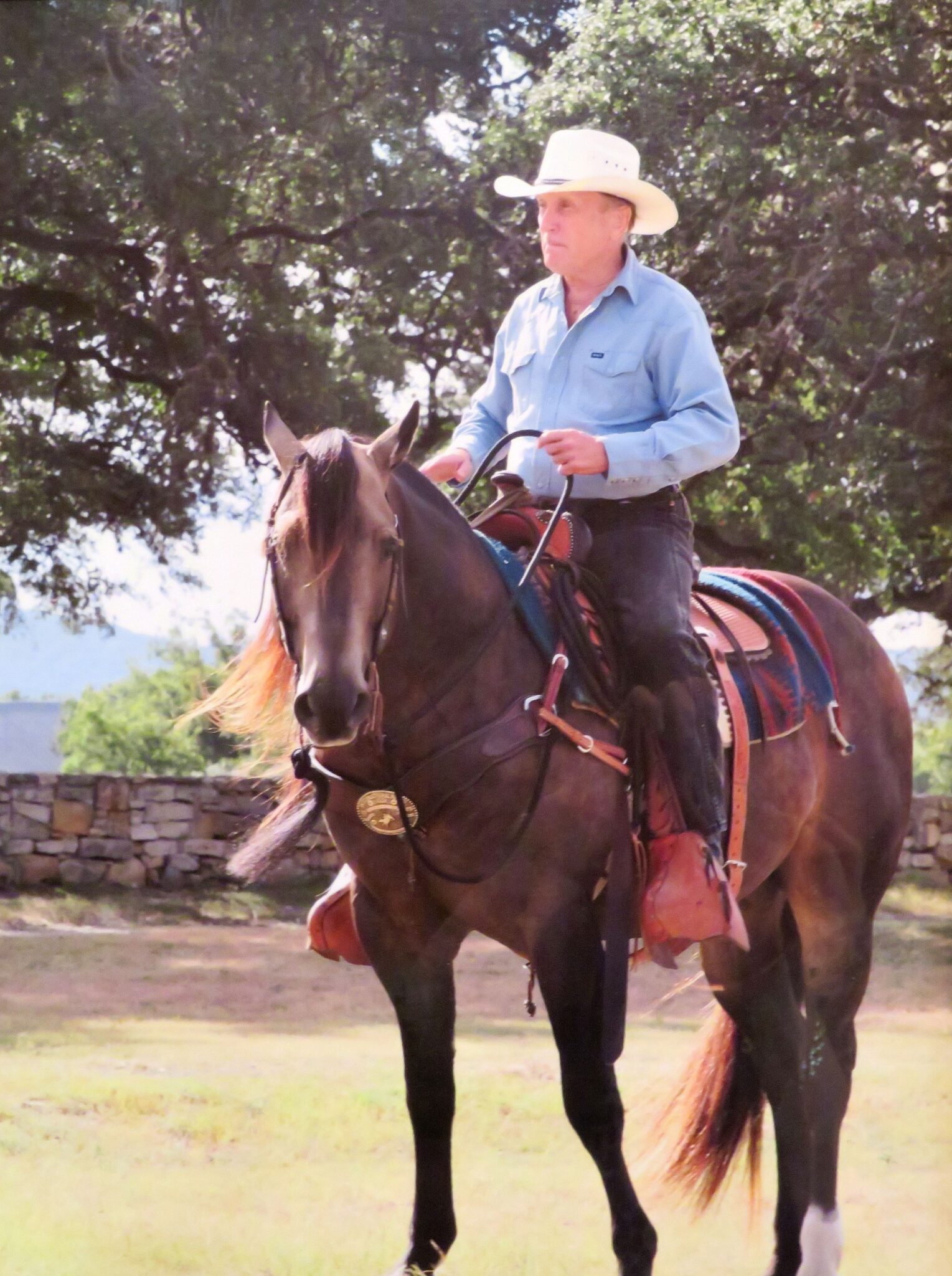 Inside the Rich History and Magic of LA Waters Quarter Horses