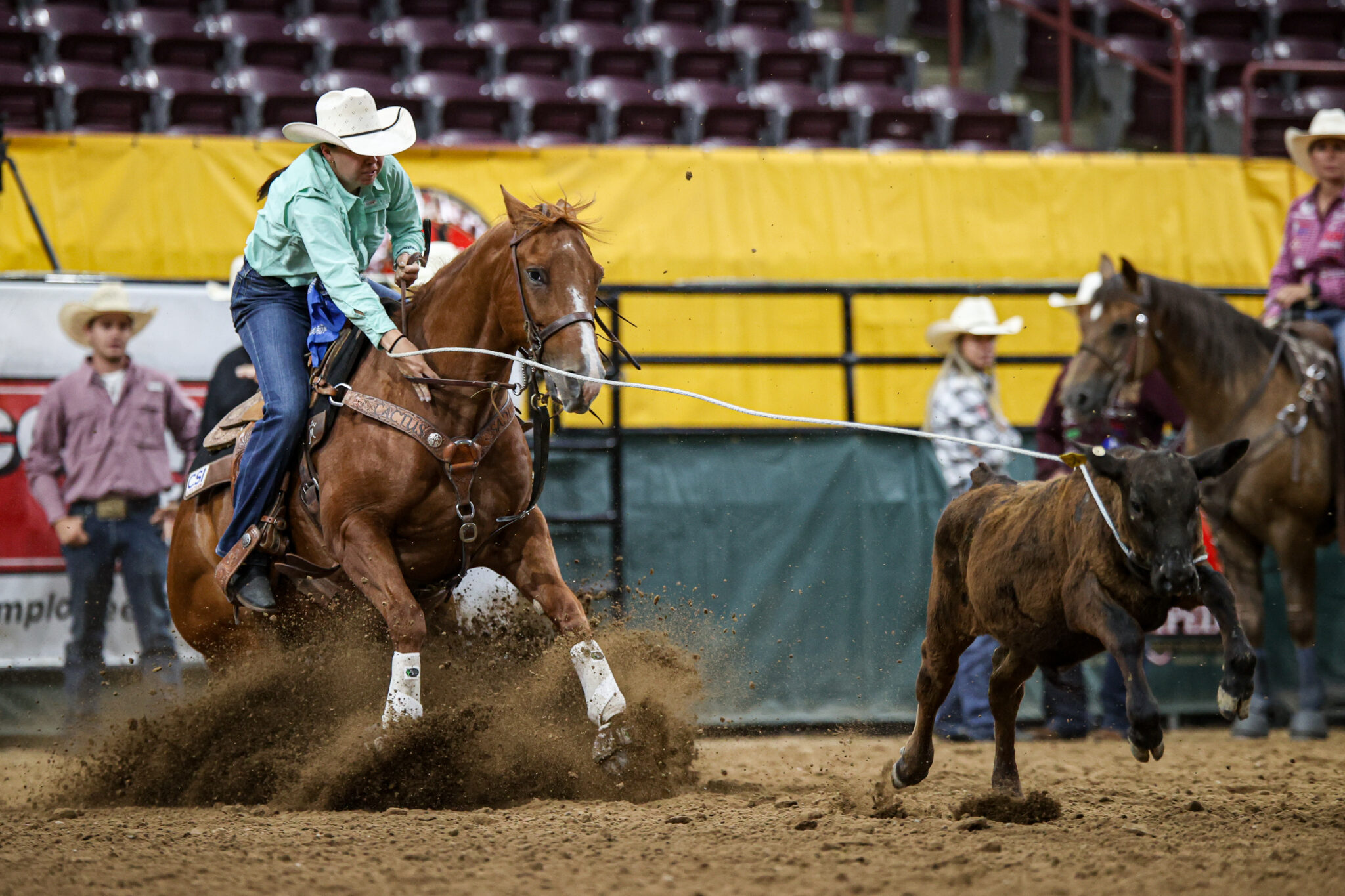 Inside the Rich History and Magic of LA Waters Quarter Horses