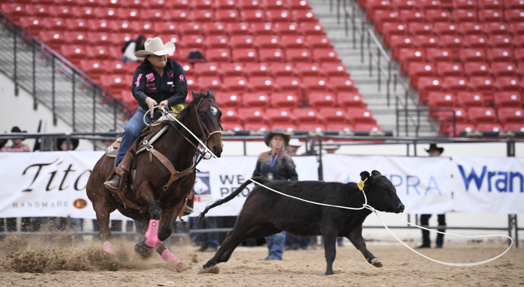 How the Bigger 2024 NFBR Calves are Shaking Things Up