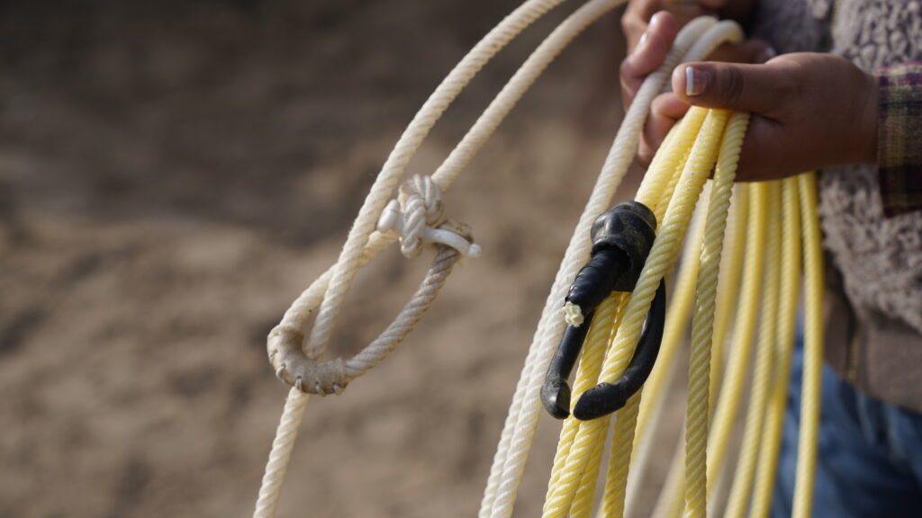 Everything You Need to Know About Breakaway Hondas