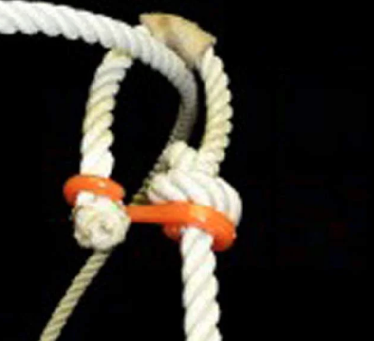 Everything You Need to Know About Breakaway Hondas