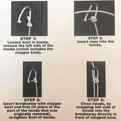 Everything You Need to Know About Breakaway Hondas