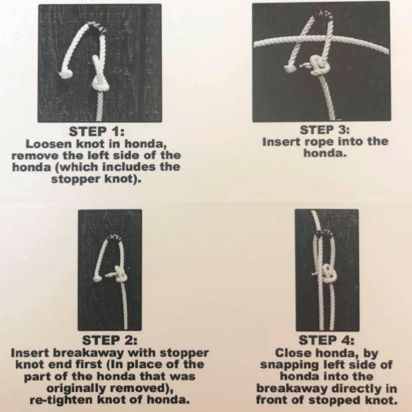 Everything You Need to Know About Breakaway Hondas