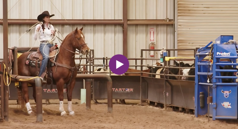 Shelby Meged's 3 Tips for Training a Green Breakaway Horse