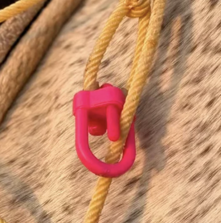 Everything You Need to Know About Breakaway Hondas