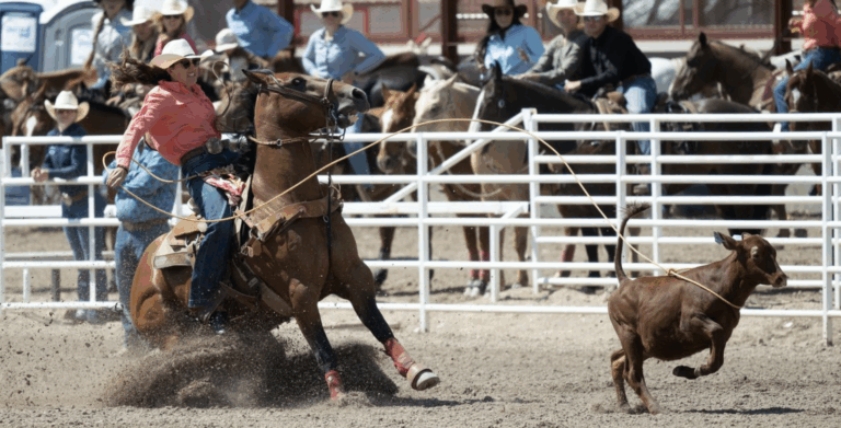 New No. 1 Resistol Rookie Haiden Thompson Collects $21K