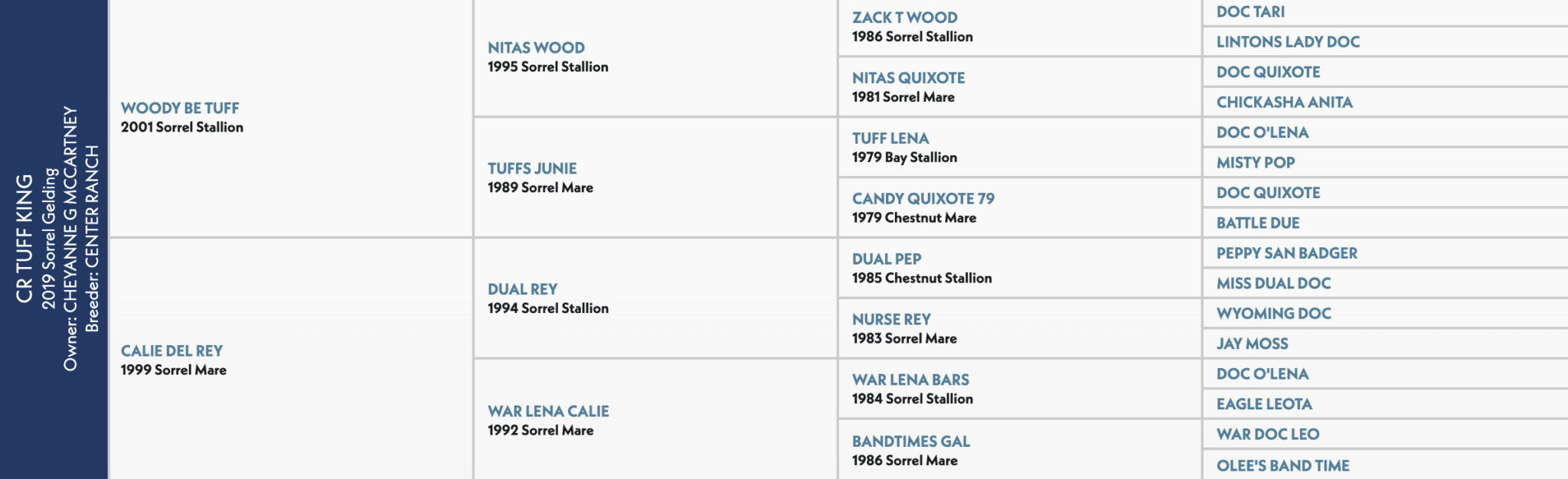McCartney's CR Tuff King Clears $73K at Gold Buckle Futurity