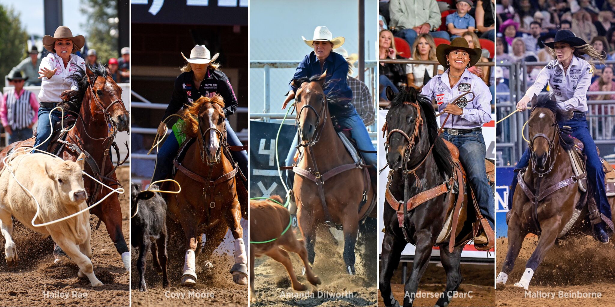 How the Top 15 Breakaway Ropers Prepare to Rope for $1.3M