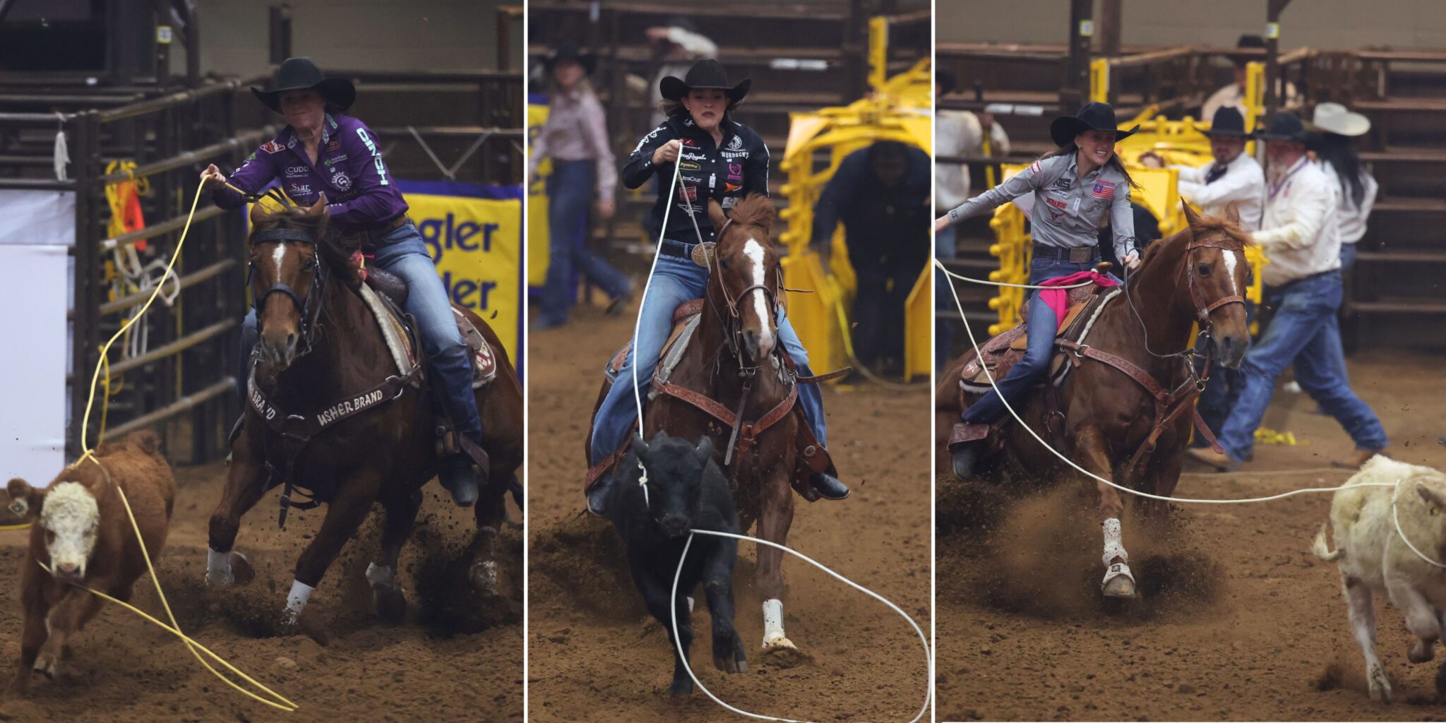 Who Has a Chance at a World Title? NFBR Results Analysis