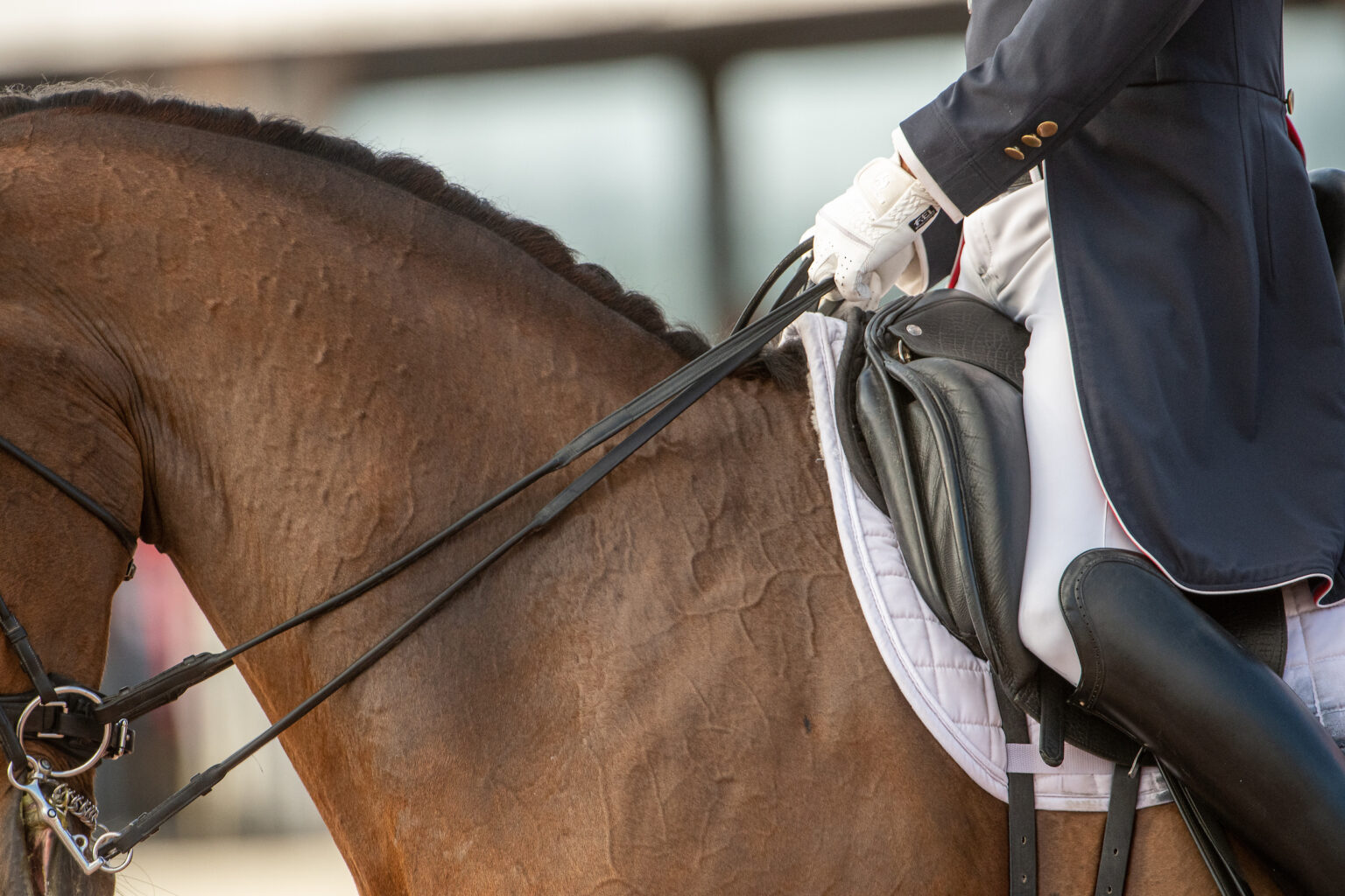 Where should hands ideally be positioned while riding?