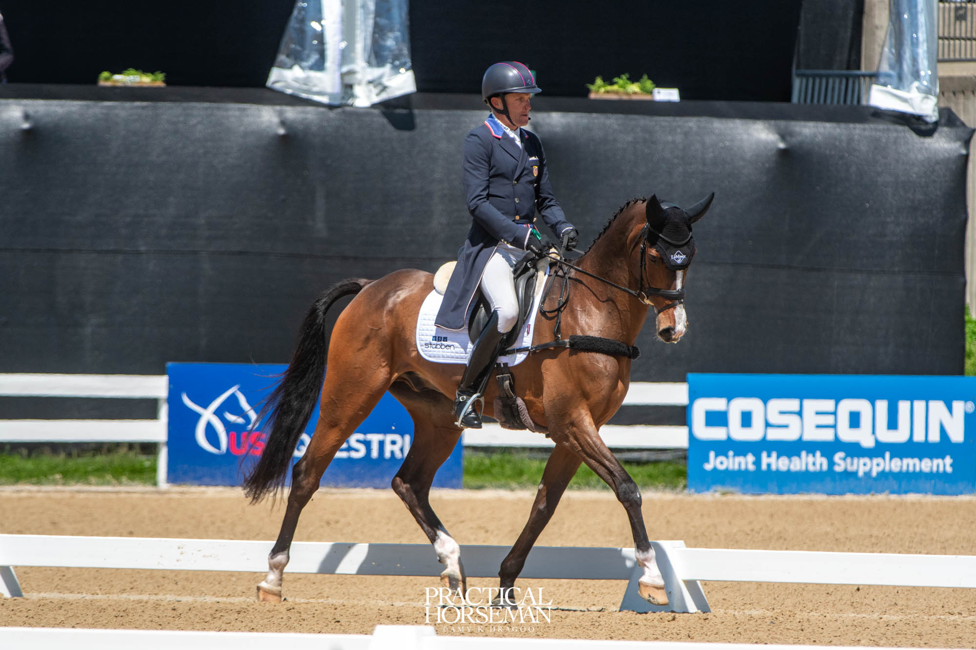 Is Eventing Dressage Different from "Regular" Dressage?