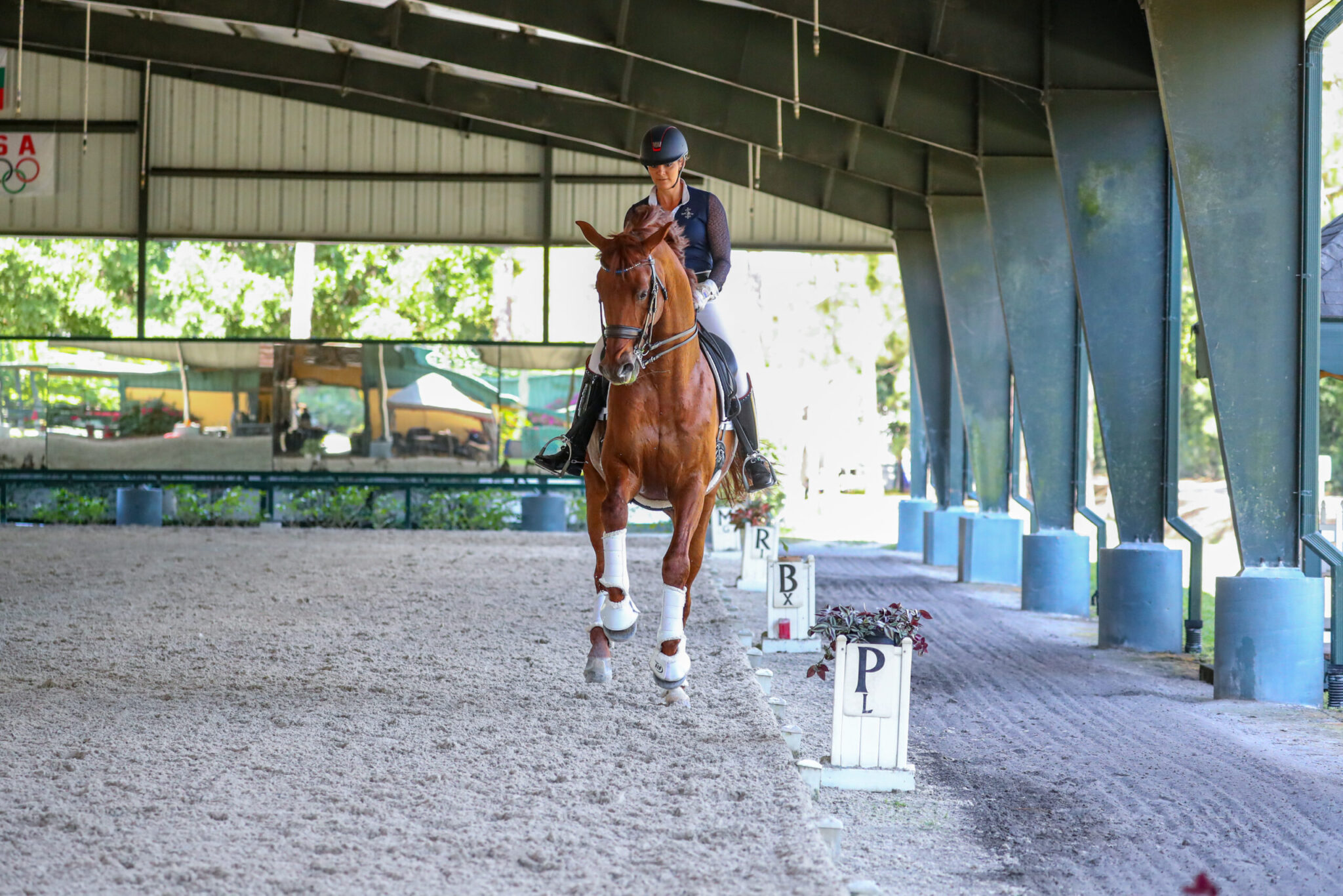 Fantastic Flying Changes