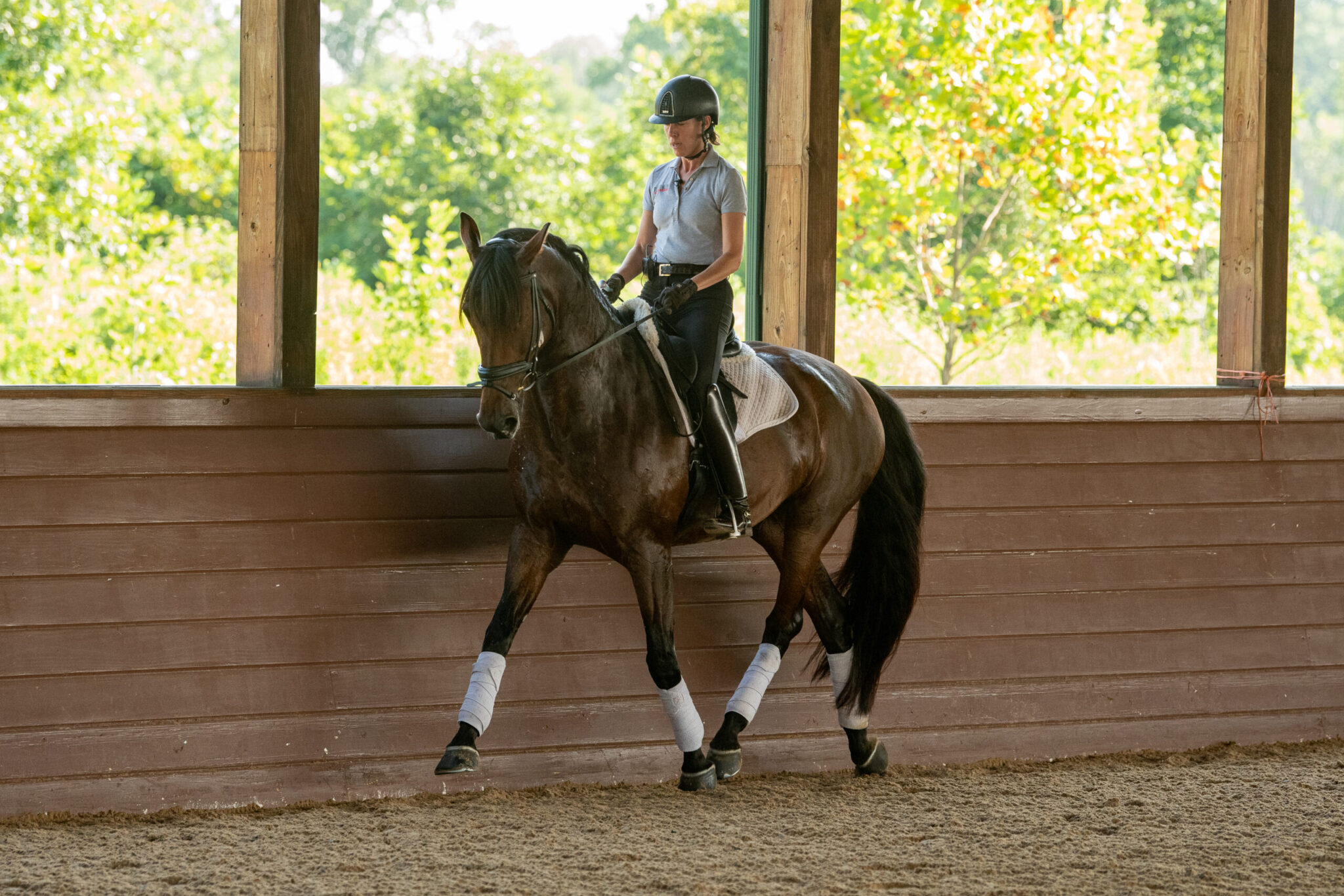 10-Meter Makeover - Dressage Today