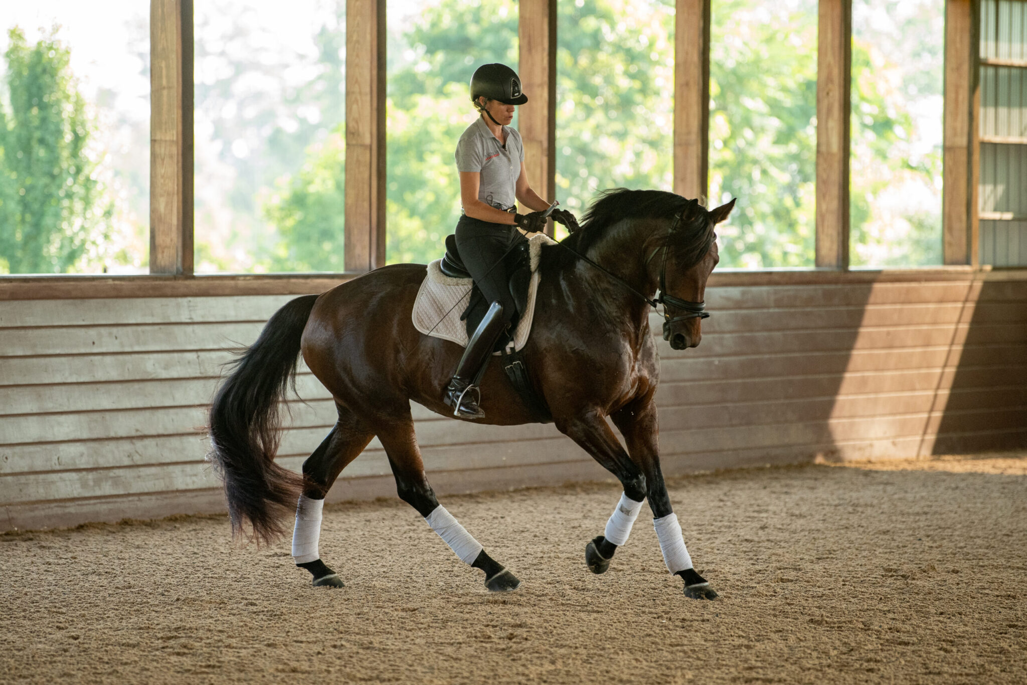 10-Meter Makeover - Dressage Today