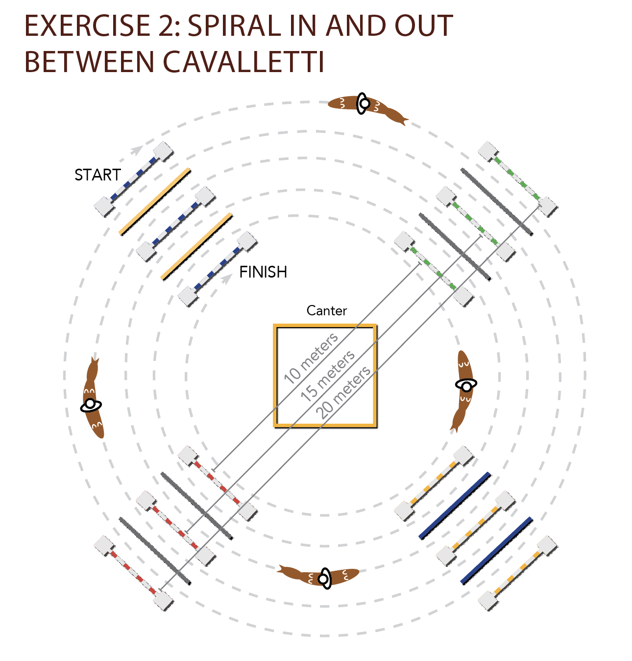 Cavalletti and a Box - Dressage Today