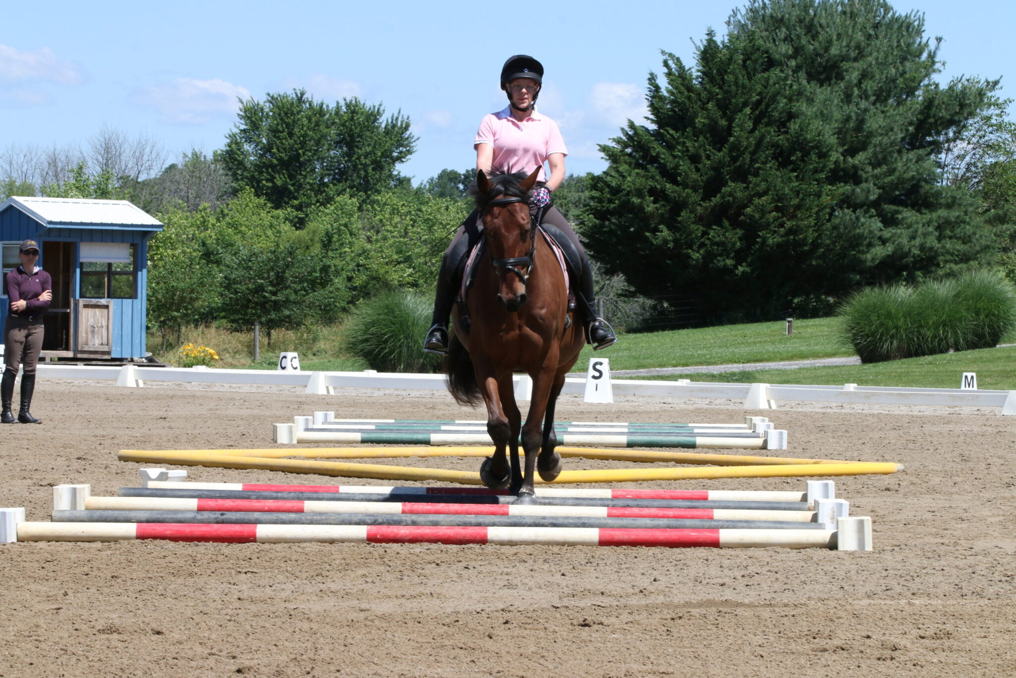 Cavalletti and a Box - Dressage Today