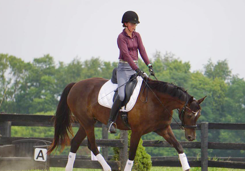 Developing a Correct Stretch at the Trot - Dressage Today