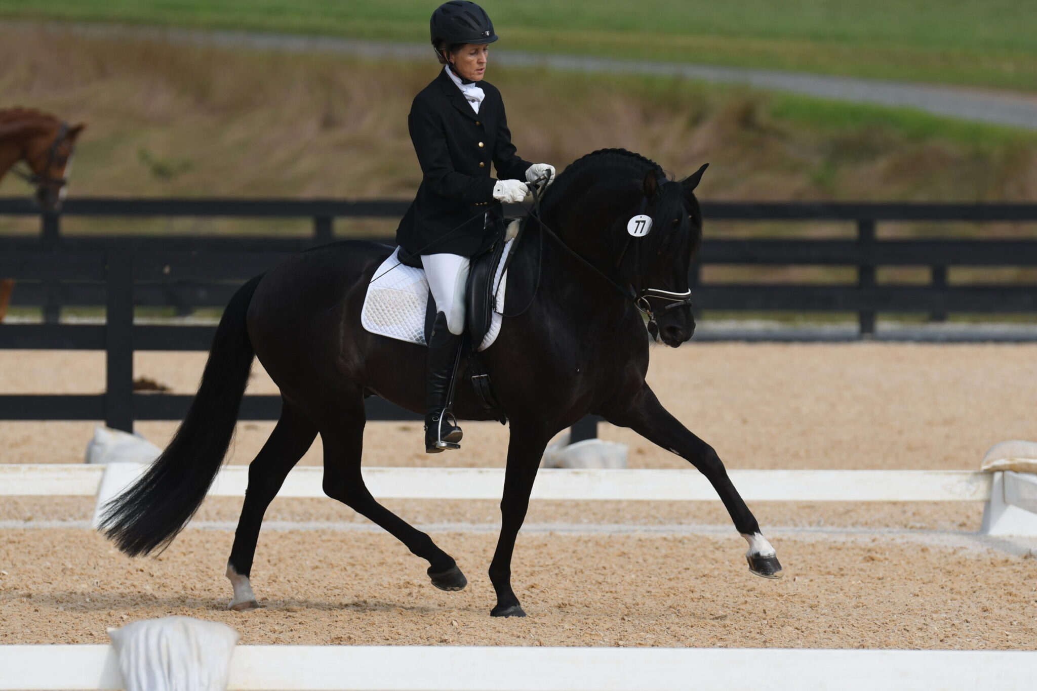 How Bend Affects Your Dressage Horse's Straightness and Balance