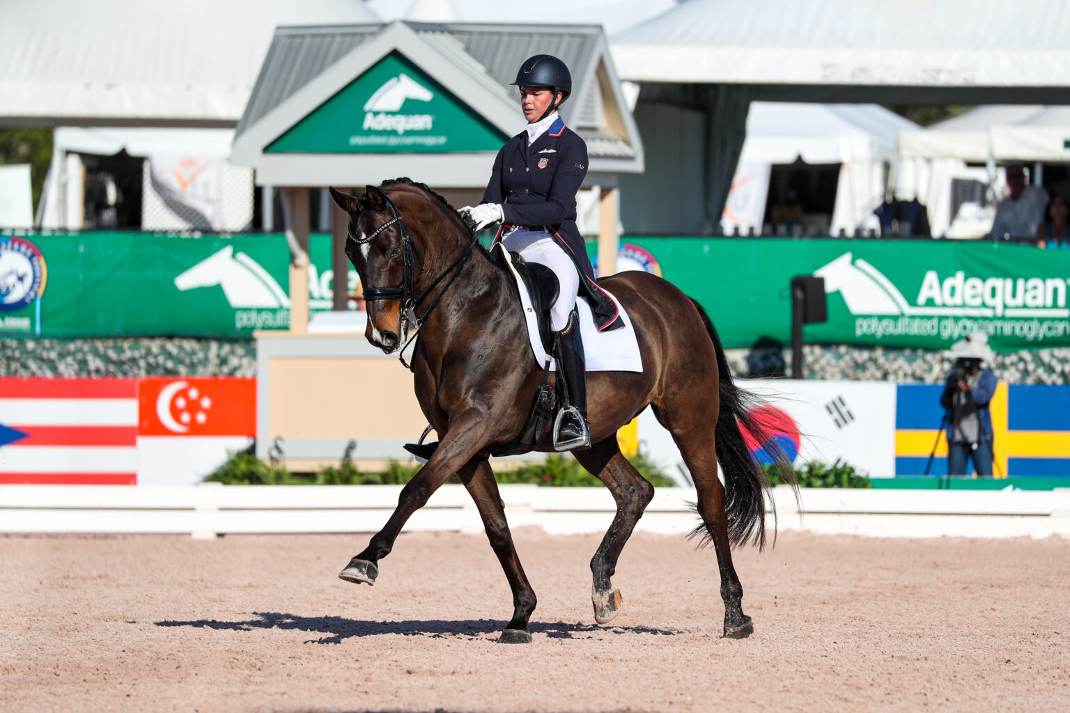 Anna Marek: Working Her Way to the Top - Dressage Today