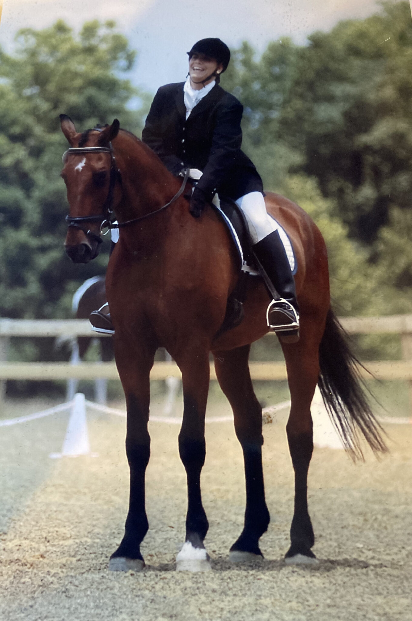 Understanding Degenerative Suspensory Ligament Desmitis (DSLD ...