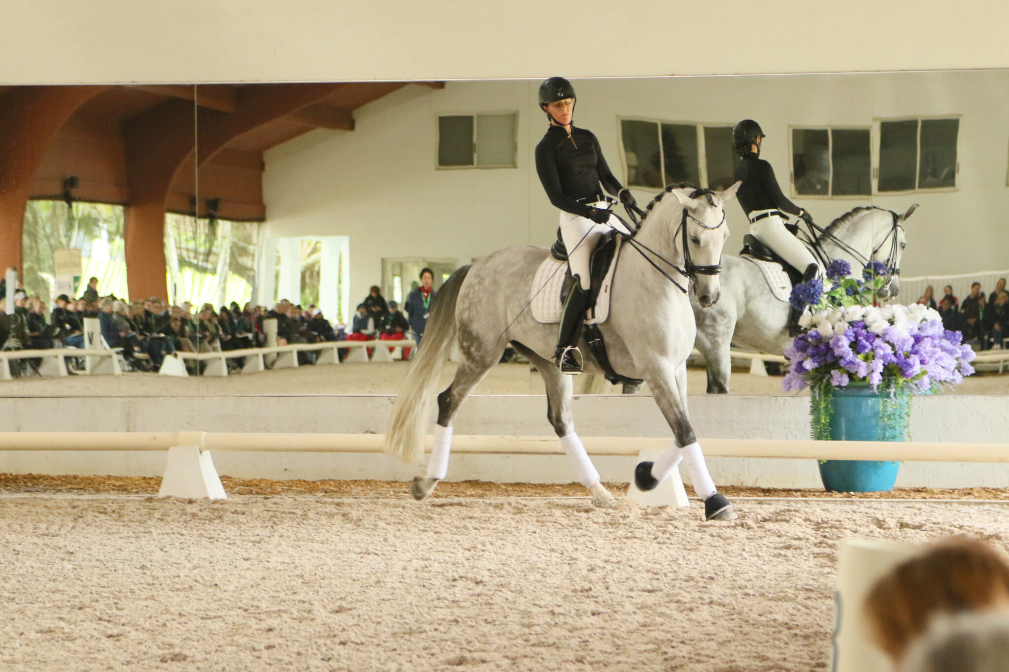 USDF 2025 Trainers' Conference Kicks Off - Dressage Today