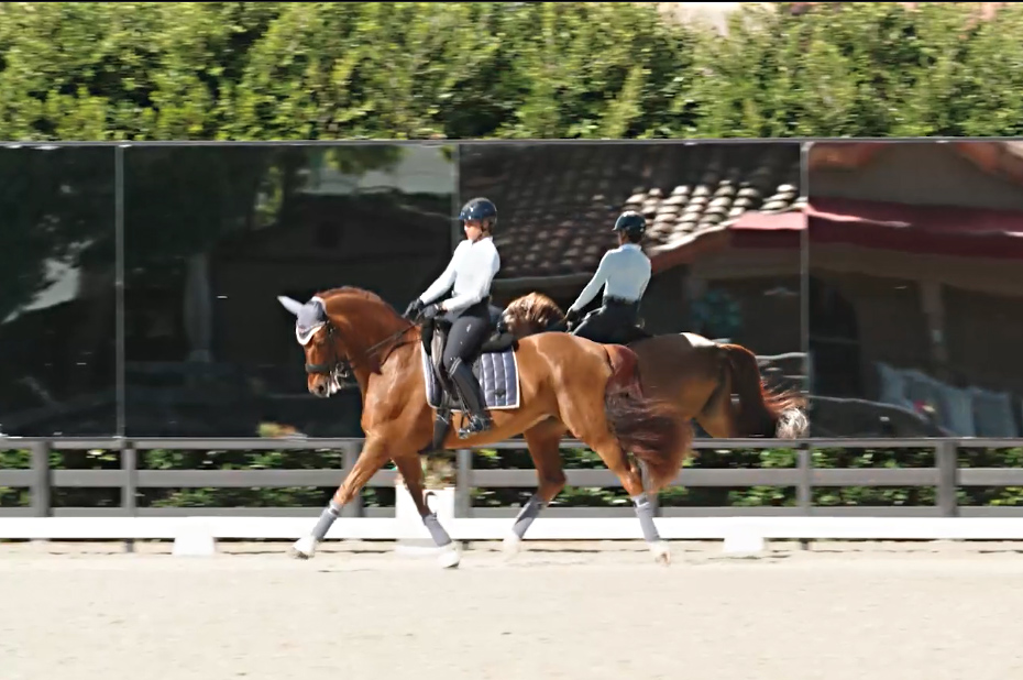 AnnA Buffini's Top 3 Tips for Advancing Through the Levels - Dressage Today