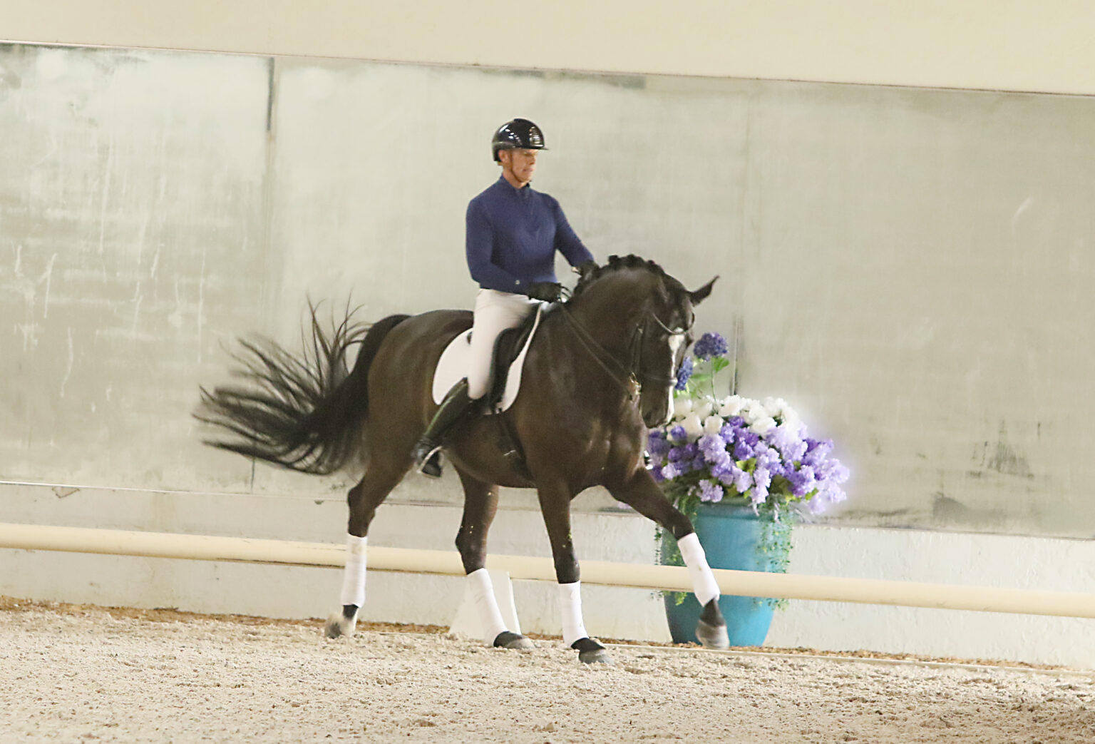 Use the Counter-Canter for Uphill Balance and Expression - Dressage Today