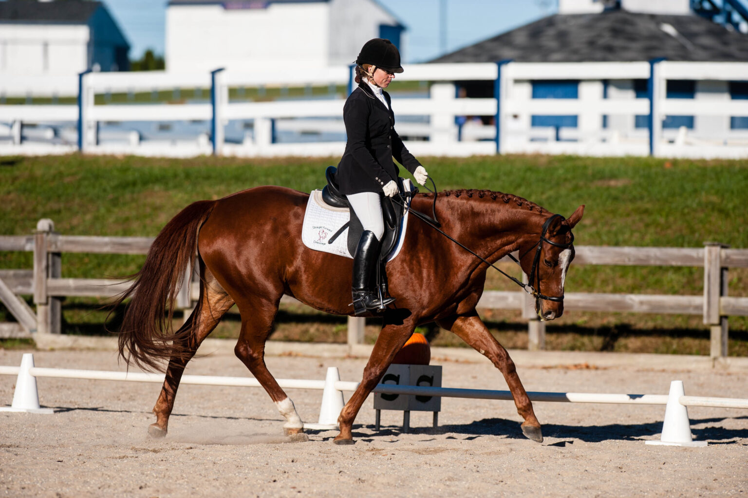 Moving up the Training Scale With Relaxation and Connection - Dressage ...